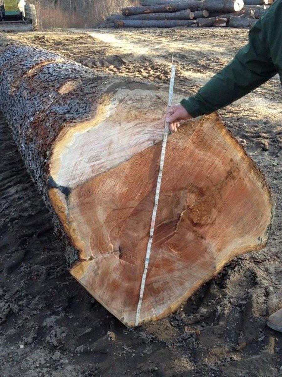 Why Not Cherry? - Irion Lumber Company