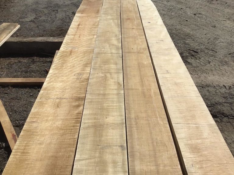 Tiger Maple Grade Lumber 4/4 9-13" Prime Irion Lumber Company