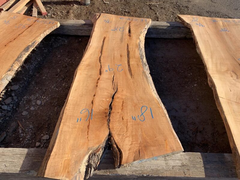 Figured Maple Slab LE2090-2A 9/4 7' Irion Lumber Company