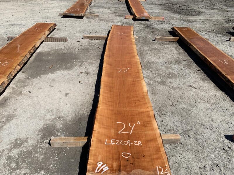 Live Edge Slabs | Cherry | Curly | Hardwood | Irion Lumber Company