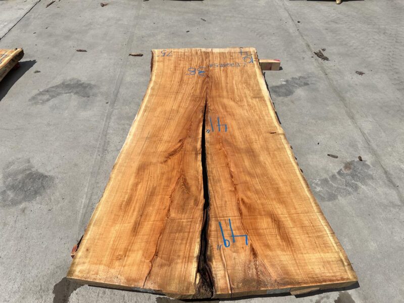 Honey Locust Slab LE2259-5A - 10/4 - 7.5' Irion Lumber Company