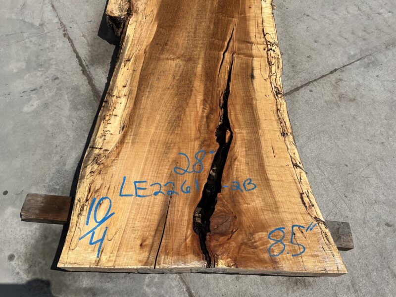Spalted Maple Slab LE2261-2B 10/4 8.5' Irion Lumber Company