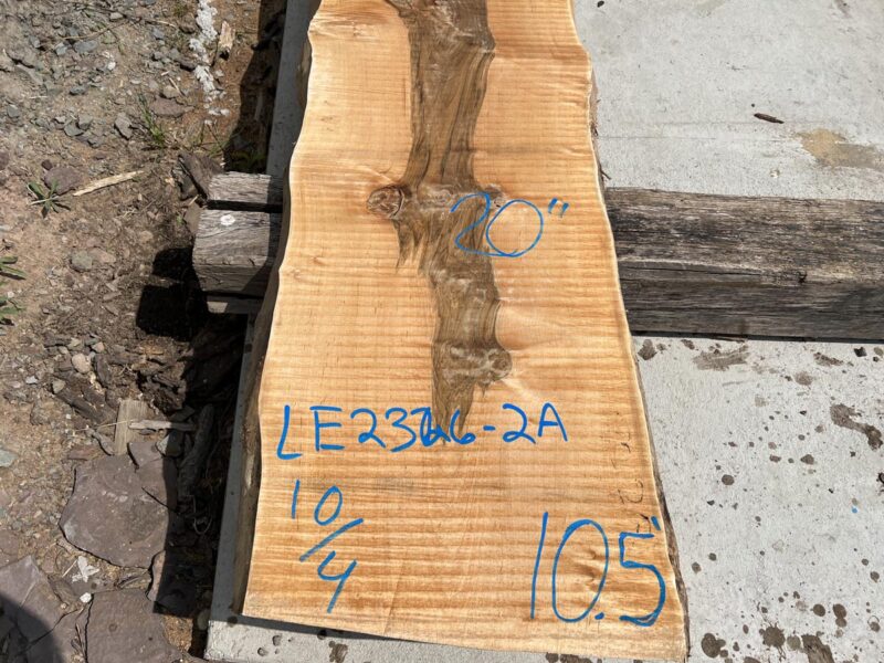 Hard Maple Slab LE2326-2A 10/4 10.5' Irion Lumber Company