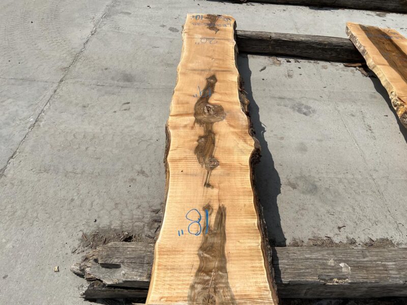Hard Maple Slab LE2326-2B 10/4 10'+ Irion Lumber Company