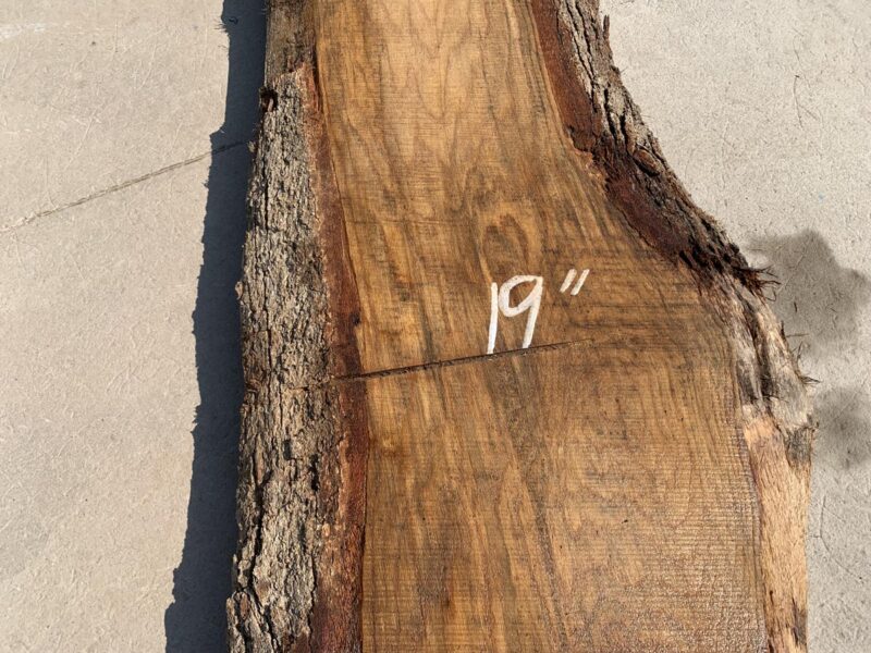 Live Edge White Oak Slab LE2356-1A - 6/4 - 16'+ Irion Lumber Company