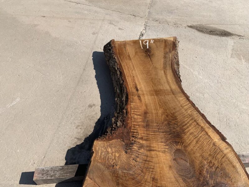 Live Edge White Oak Slab LE2360-1B - 9/4 - 19'- Irion Lumber Company