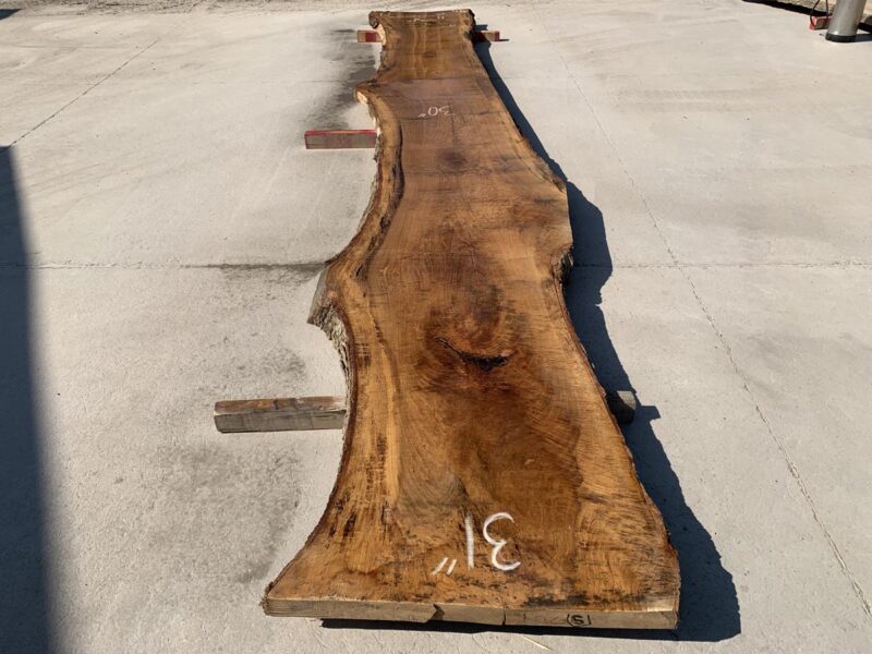 Live Edge White Oak Slab LE2360-2A - 9/4 - 19' Irion Lumber Company